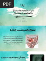 Obstrucción Intestinal Por Adherencias y Bridas | PDF | Especialidades ...