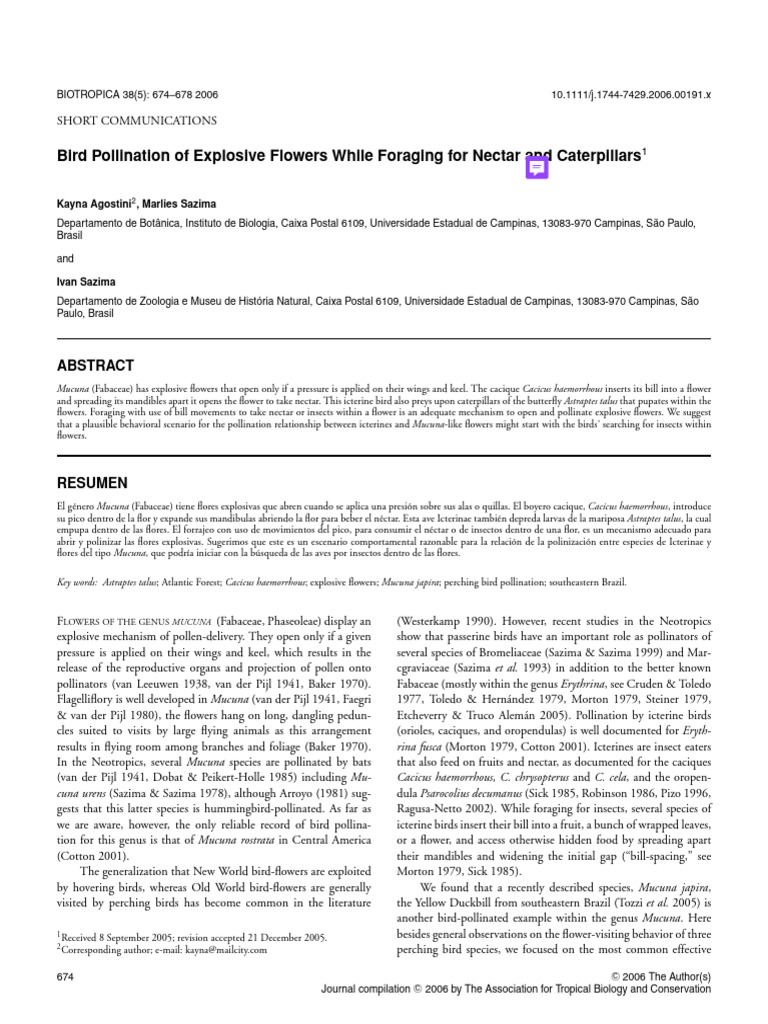 agostini 2006_Bird Pollination of Explosive Flowers While Foraging for ...
