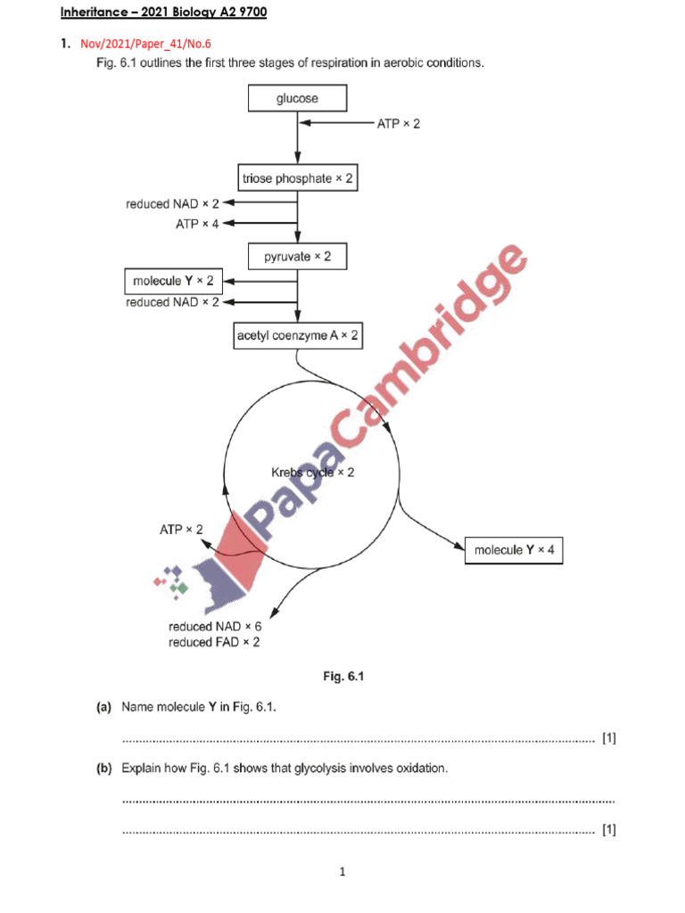 2021-Inheritance-Biology-A2-9700 | PDF