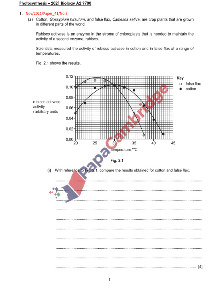 2021 Photosynthesis Biology A2 9700 | PDF