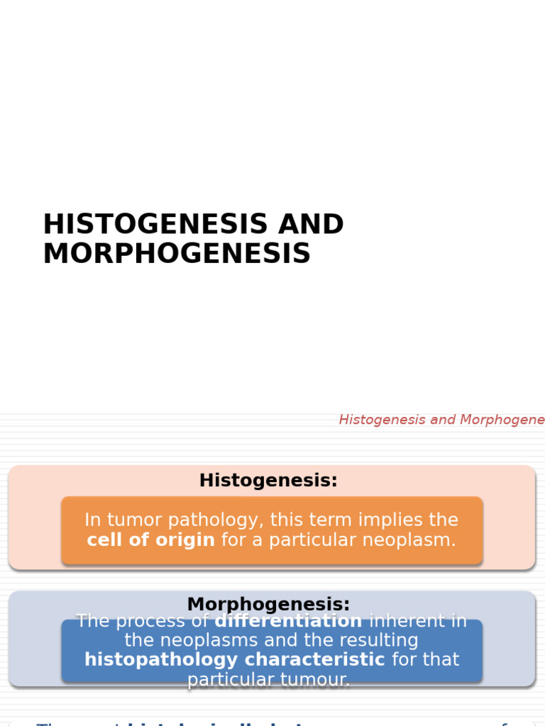 Histogenesis and Morphogenesis | PDF | Neoplasms | Cell (Biology)