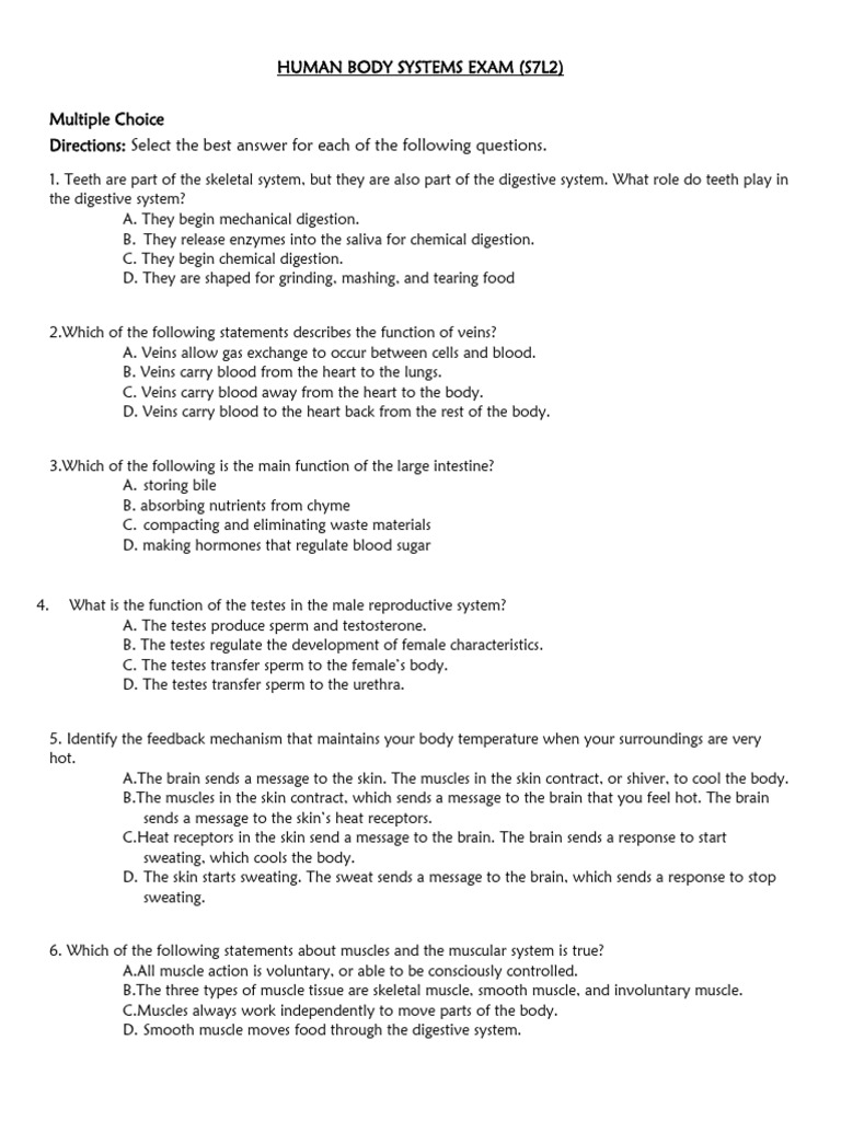 The Human Body System Worksheet | PDF | Human Body | Digestion