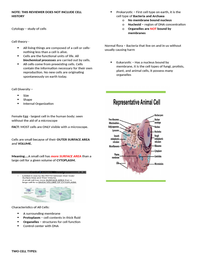 Overview of Cell Structure and Function | PDF | Cell (Biology ...