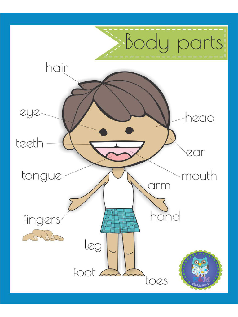 My Body Parts Poster 1 | PDF