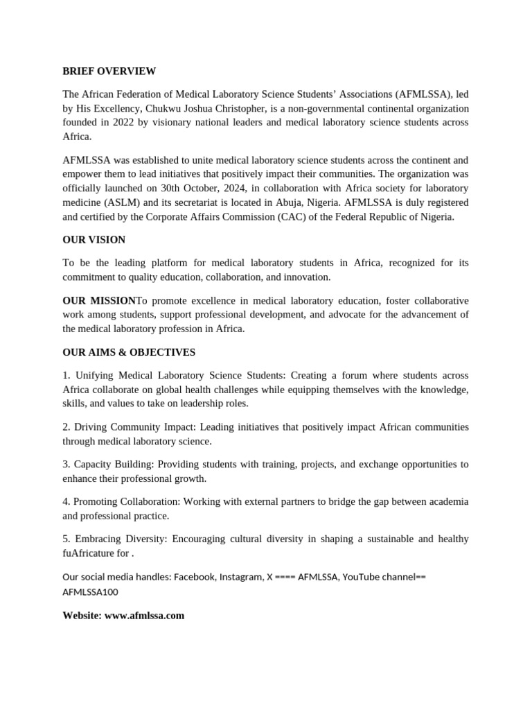 BRIEF OVERVIEW-WPS Office | PDF