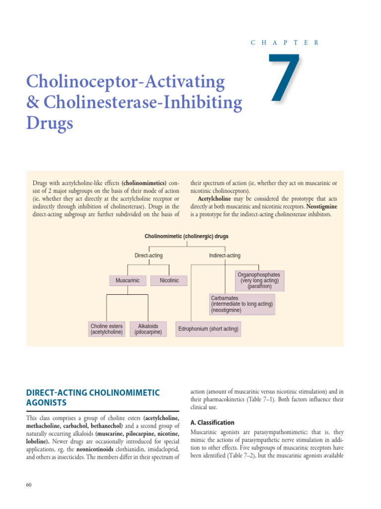 Cholinomimetics-Katzung Pharmacology-12th Ed | PDF | Acetylcholine