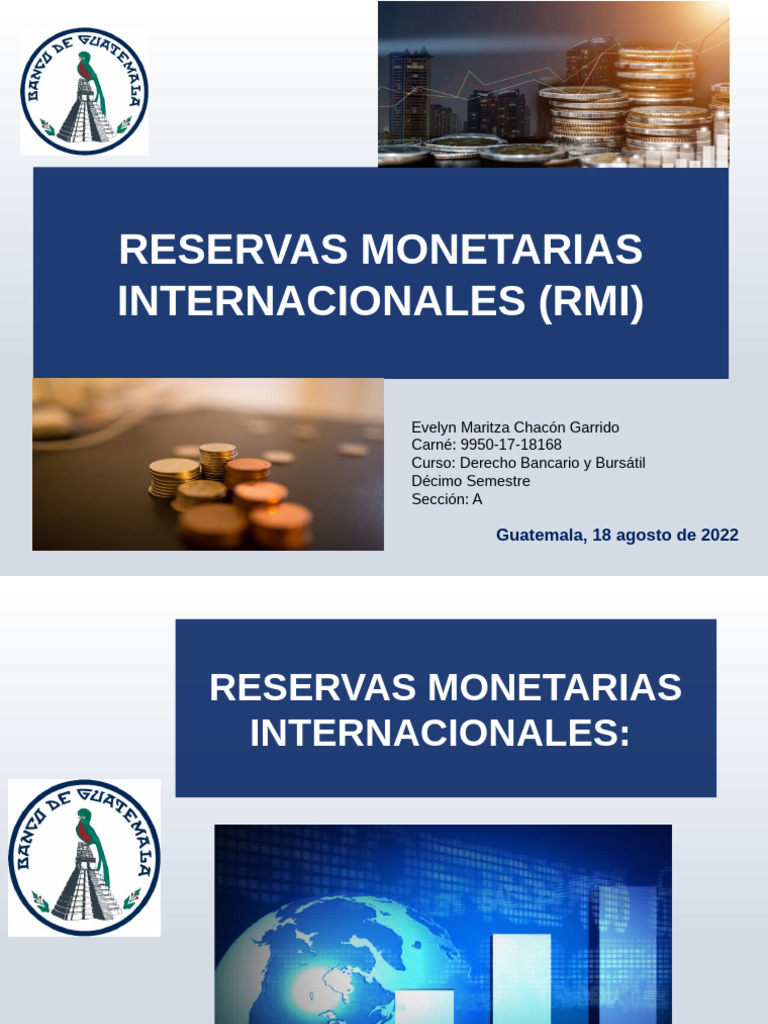 Reserva Monetaria Internacional | PDF | Bancos | Moneda
