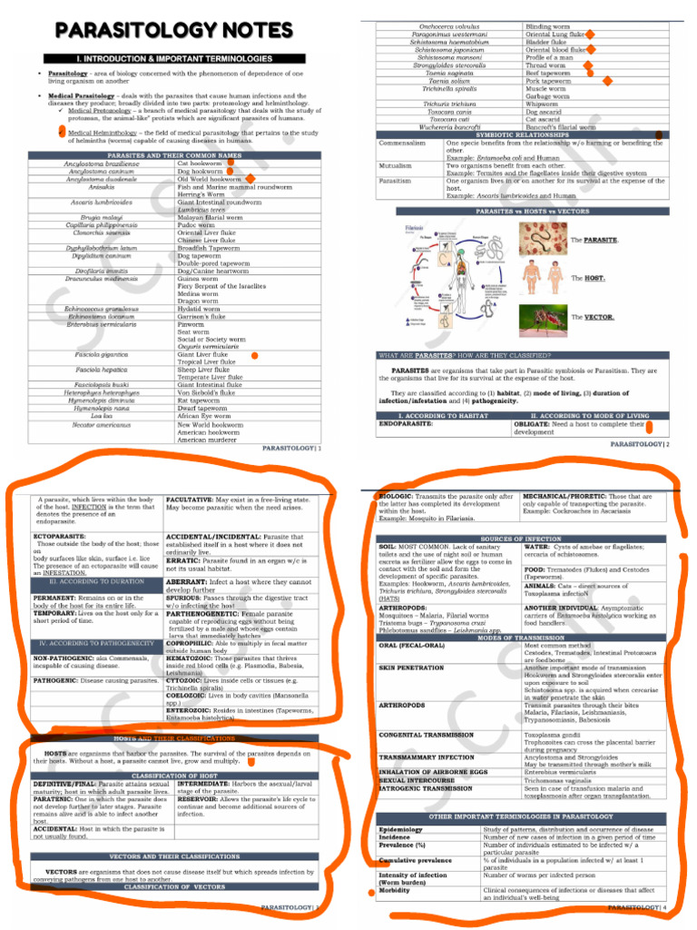 Micropara Sidenotes Semi Mangawas | PDF