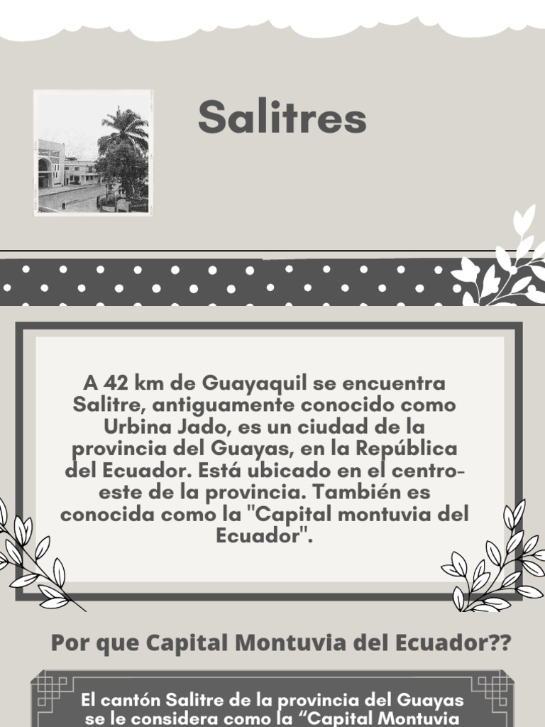 Historia y Tradiciones de Salitre | PDF
