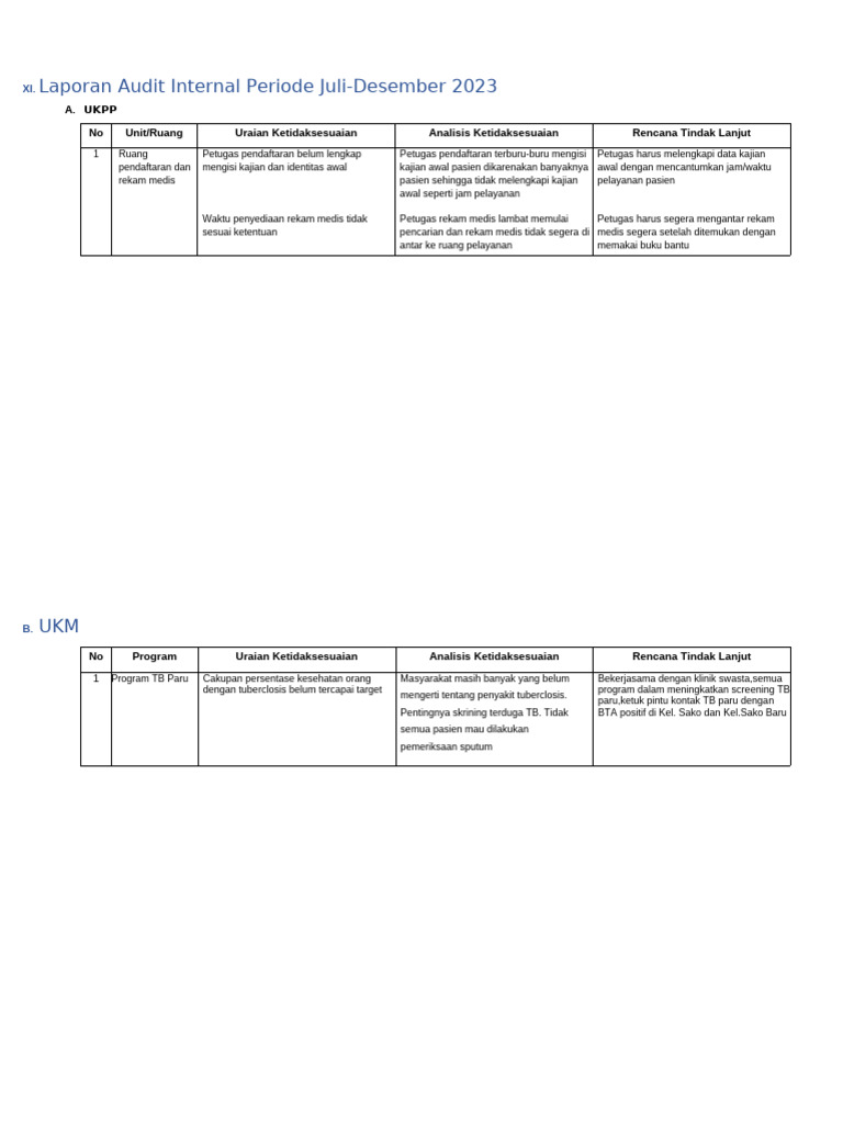 RTM Audit Juli-Des 2024 | PDF