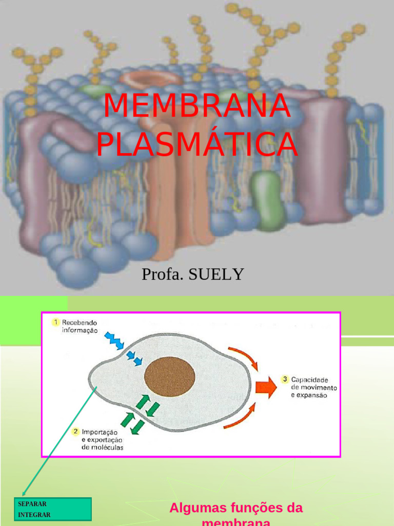 Membrana Plasmatica | PDF | Osmose | Membrana celular