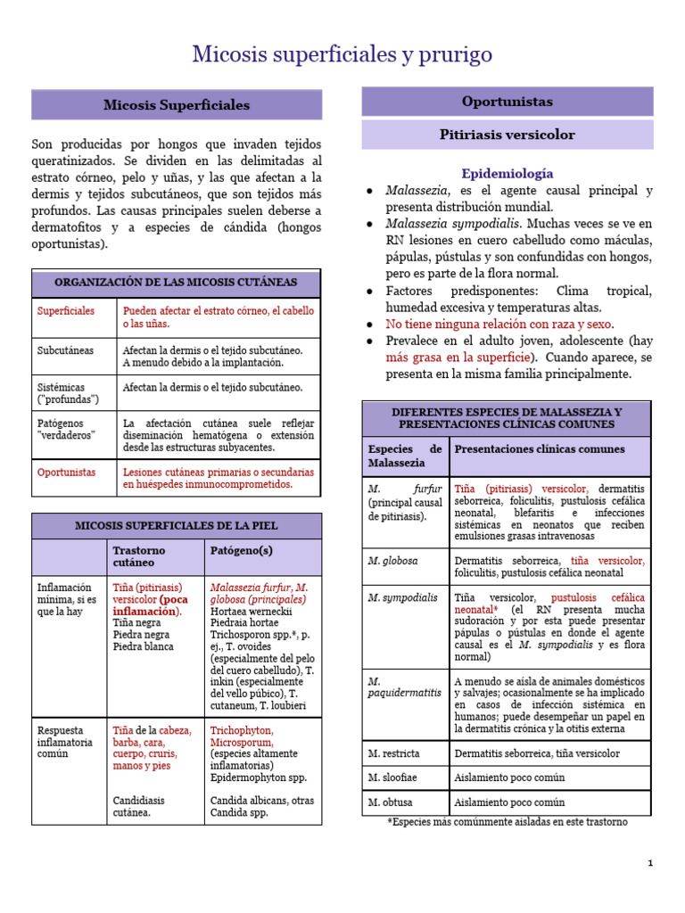 Micosis Superficiales y Prurigo | PDF | Dermatología | Condiciones cutáneas