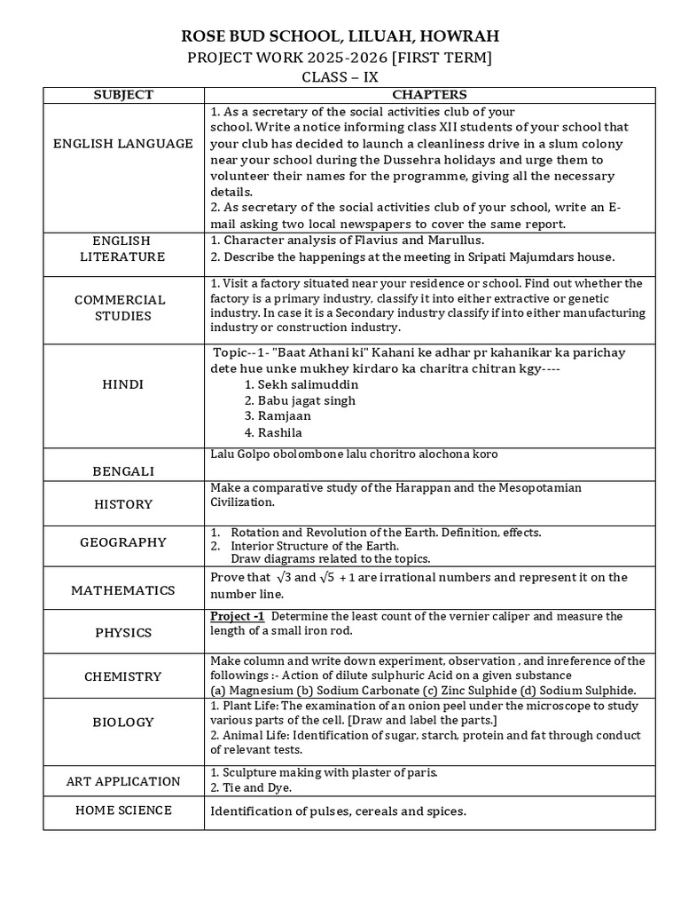 Class-9 First Term Project | PDF