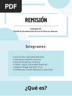 Planilla para Remito | PDF