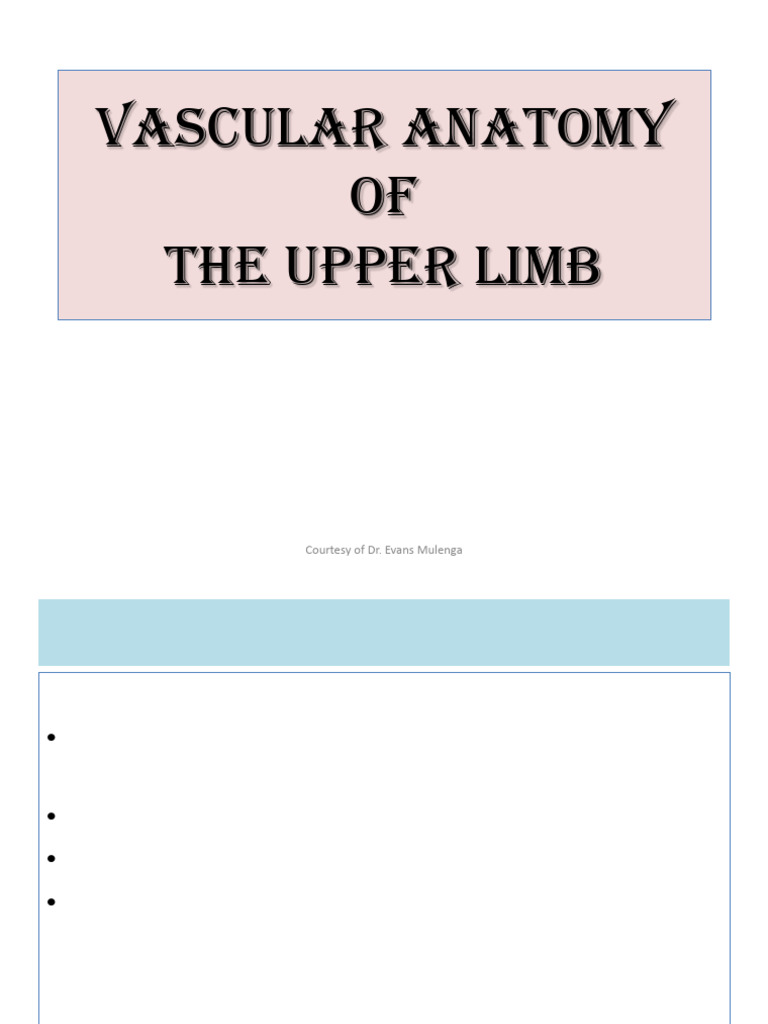 Upper Extremity Vascular Anatomy | PDF | Hand | Arm