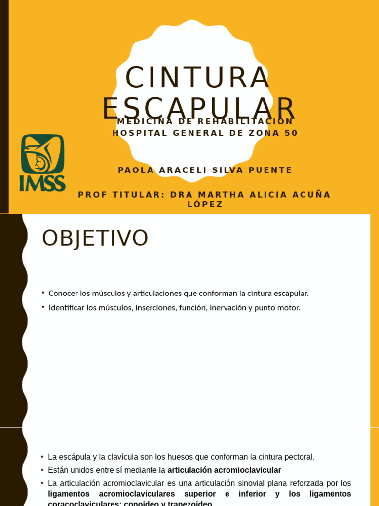 Escapular | PDF | Anatomía humana | Sistema esquelético