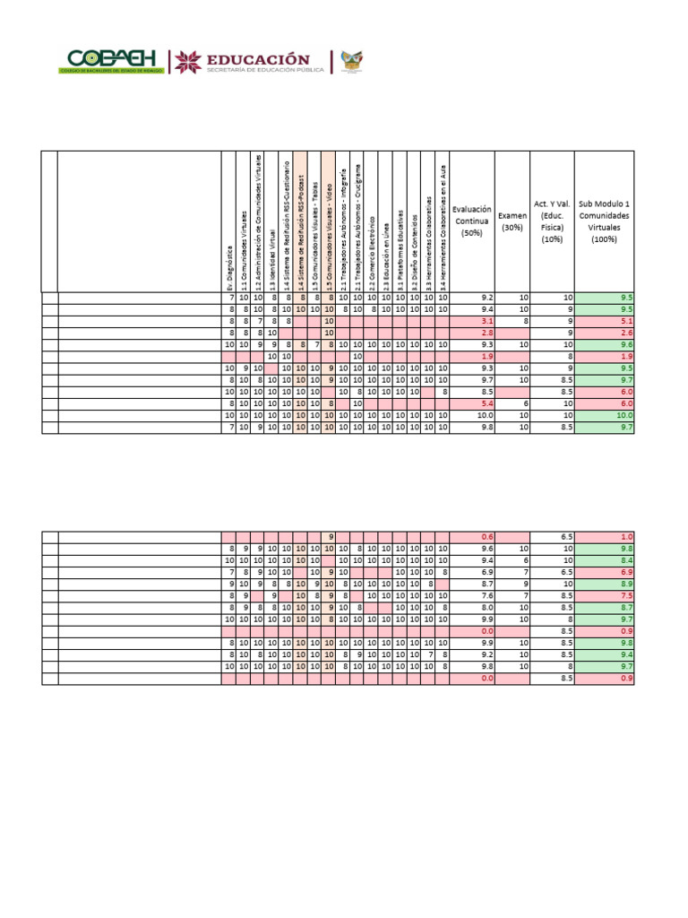 SM1 COMUNIDADES VIRTUALES_4102 | PDF