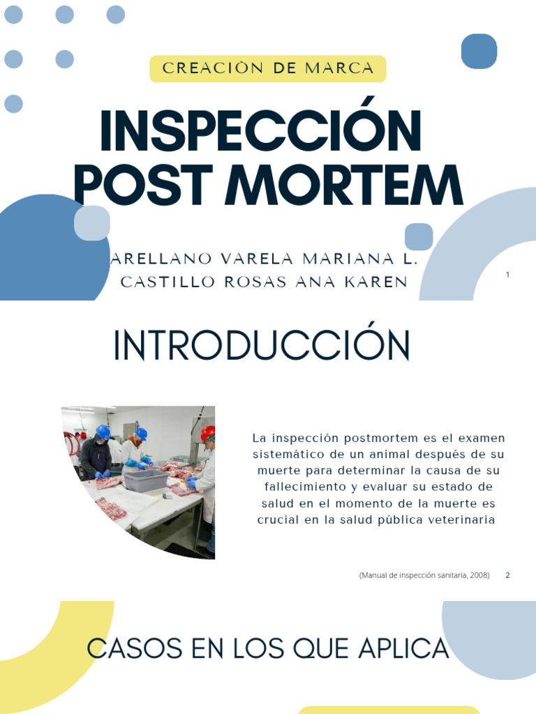 Inspección Post Mortem | PDF | Infección | Medicina CLINICA