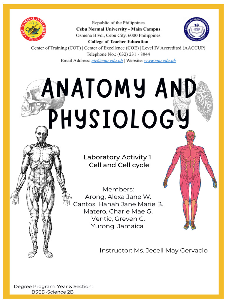ANAPHY Laboratory Activity 1 Cell and Cell Cycle | PDF | Meiosis | Mitosis