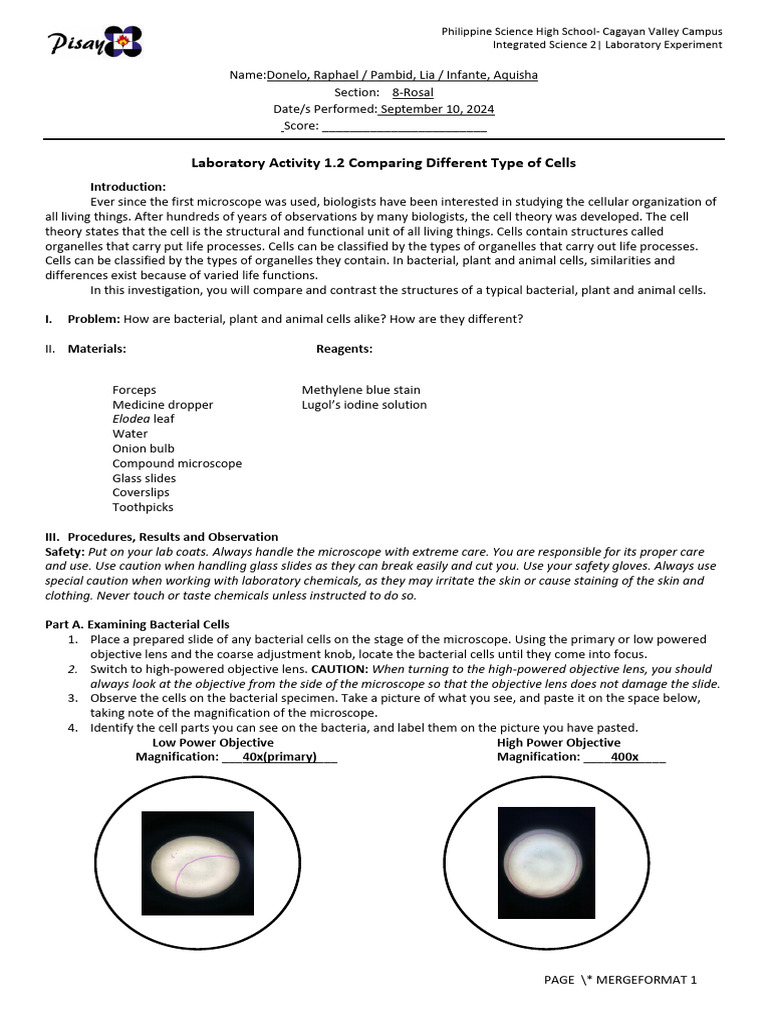 Paring Different Types of Cells 1 1 | PDF | Cell (Biology) | Organelle