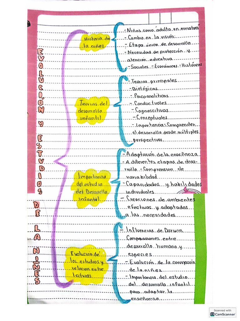 Organizador Grafico | PDF