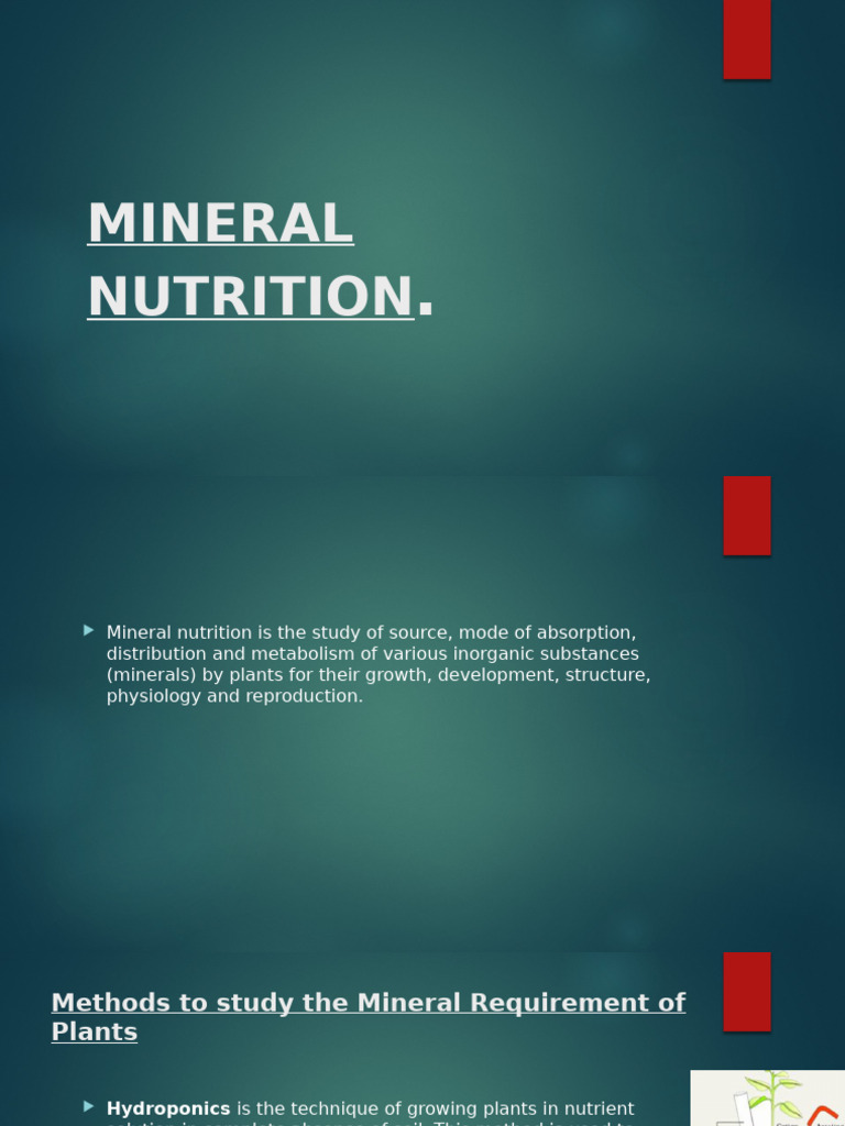 Mineral Nutrition 12 | PDF | Nutrients | Nutrition