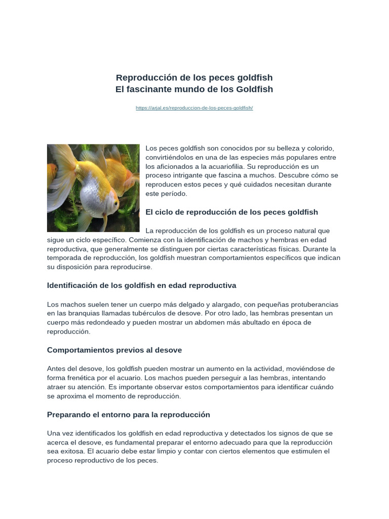 Reproduccion de Los Peces Goldfish El Fascinante Mundo de Los Goldfish | PDF | Acuario ...