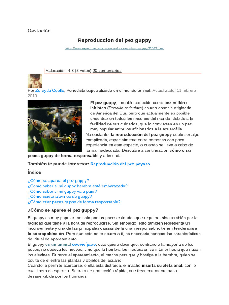 Guppy: Cómo saber si está embarazada | PDF | Zoología