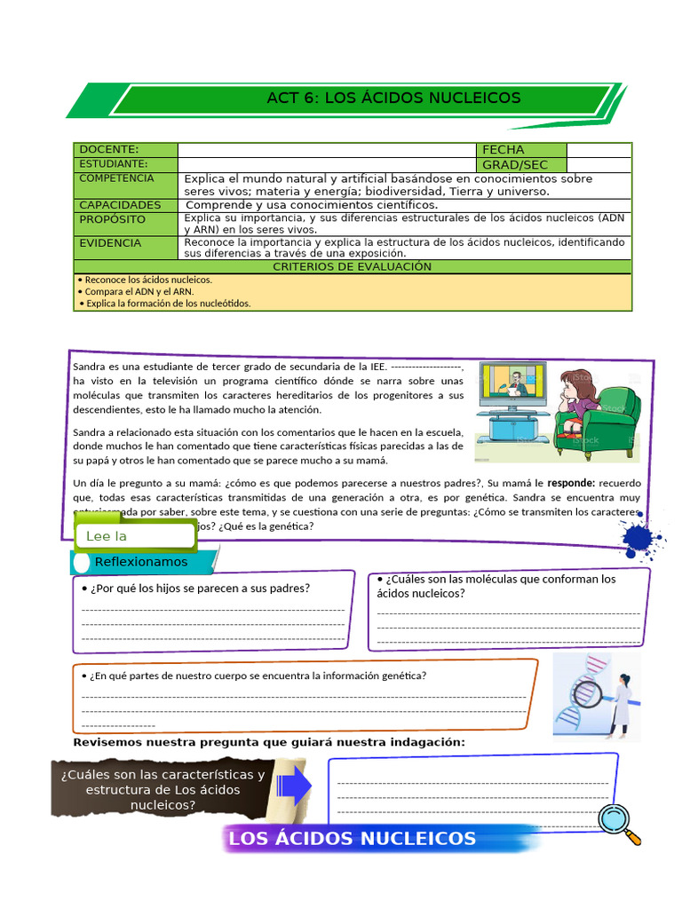 D-3º Act 5 Cyt Und 7 | PDF | Rna | Nucleótidos