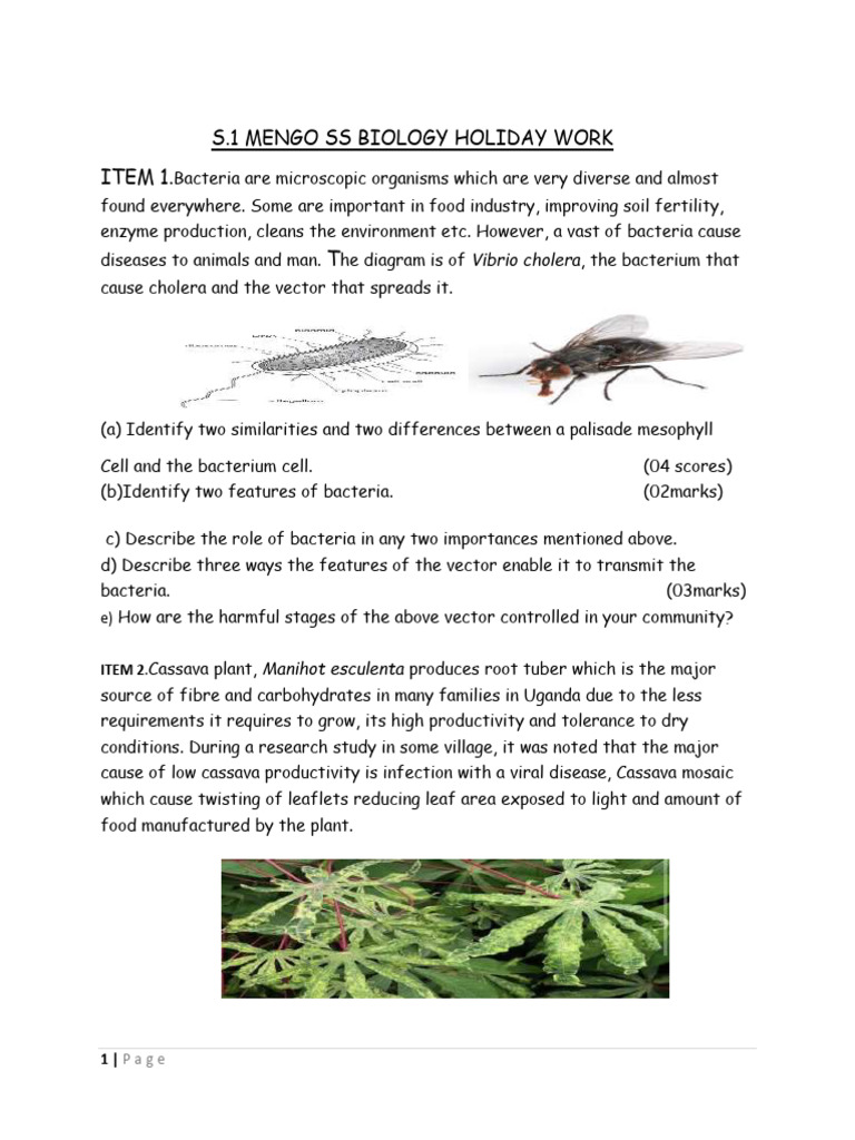 S.1 BIO WORK | PDF | Bacteria | Organisms