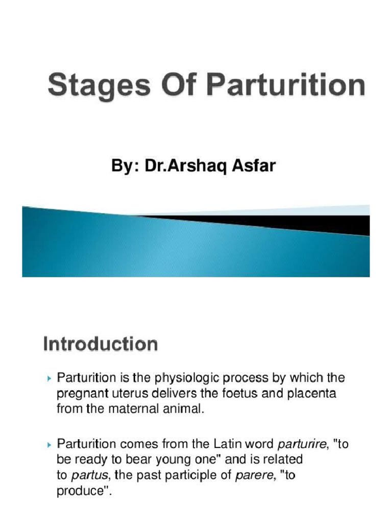 160 Stages of Parturition | PDF