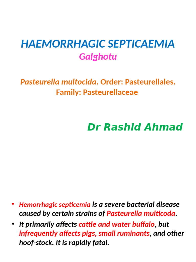 Haemorrhagic Septicaemia in Cattle | PDF | Medical Specialties ...