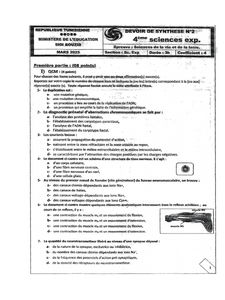 Régional Neuro Sidi Bouzid | PDF