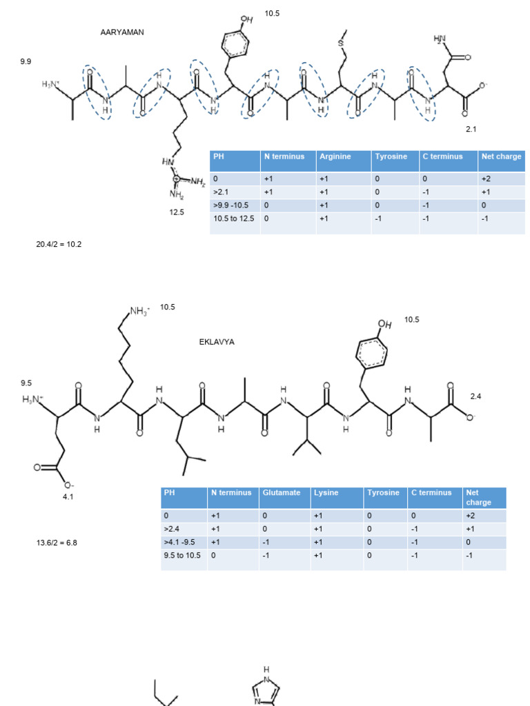 PI Calculation | PDF