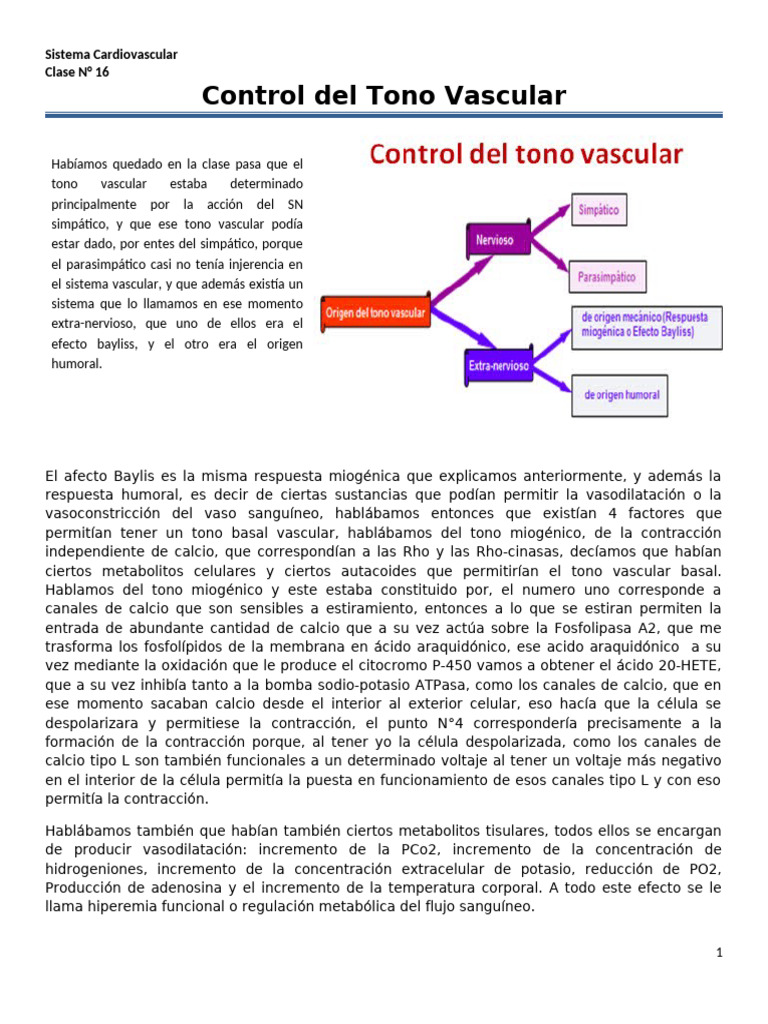 Control del Tono Vascular en el Cuerpo | PDF | Presión sanguínea ...