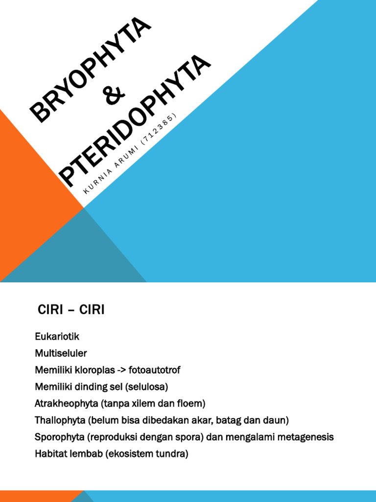 Ciri dan Struktur Bryophyta & Pteridophyta | PDF