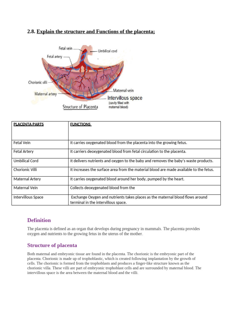 REPRODUCTION SYSTEM | PDF | Placenta | Fetus