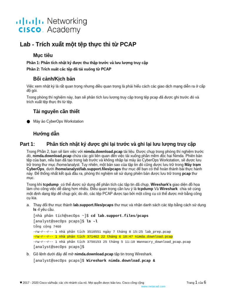 Bản dịch của 27.2.10 Lab - Extract an Executable from a PCAP | PDF