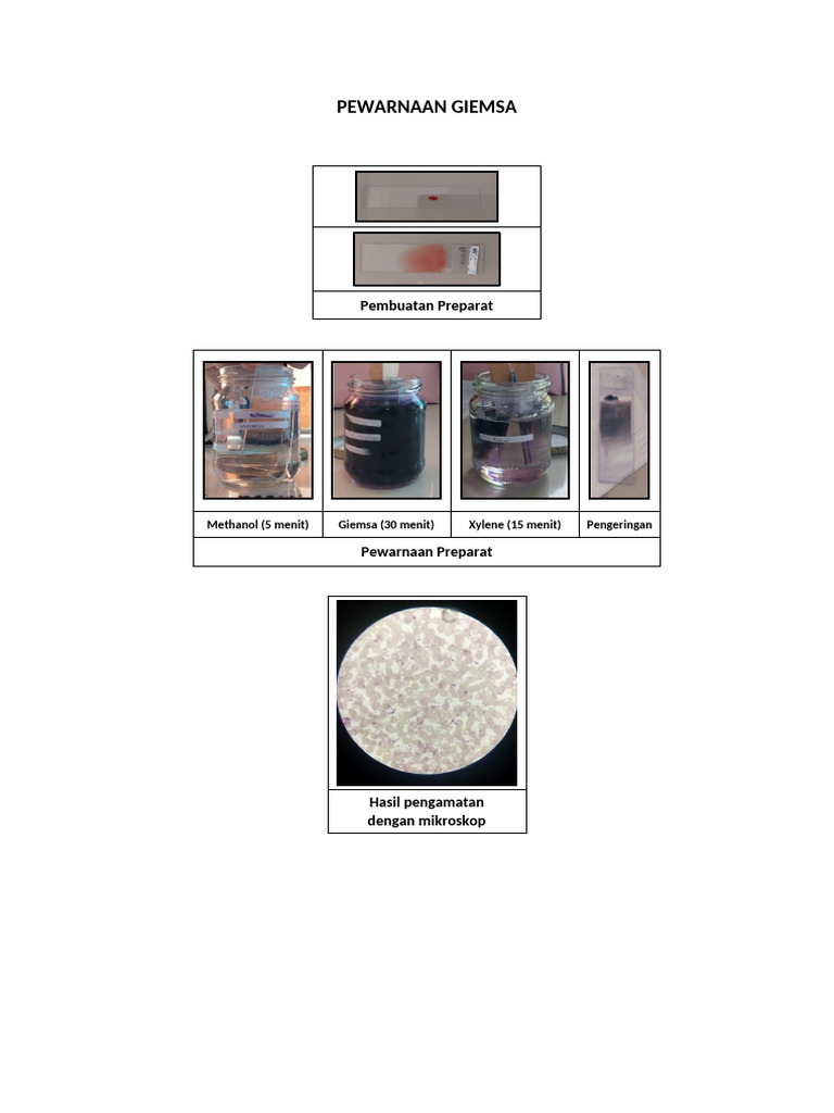 Foto Pewarnaan Giemsa Dan Papanicolaou | PDF