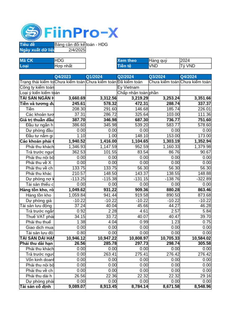FiinProX DuLieuTaiChinh BaoCaoTaiChinh Quarterly Hop Nhat HDG 20250204 | PDF