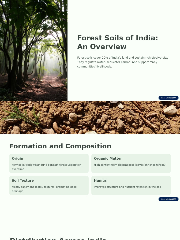 Overview of Forest Soils in India | PDF | Soil | Forests