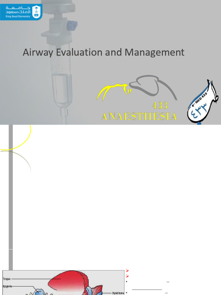 05-Airway Evaluation and Management | PDF | Larynx | Respiratory Tract