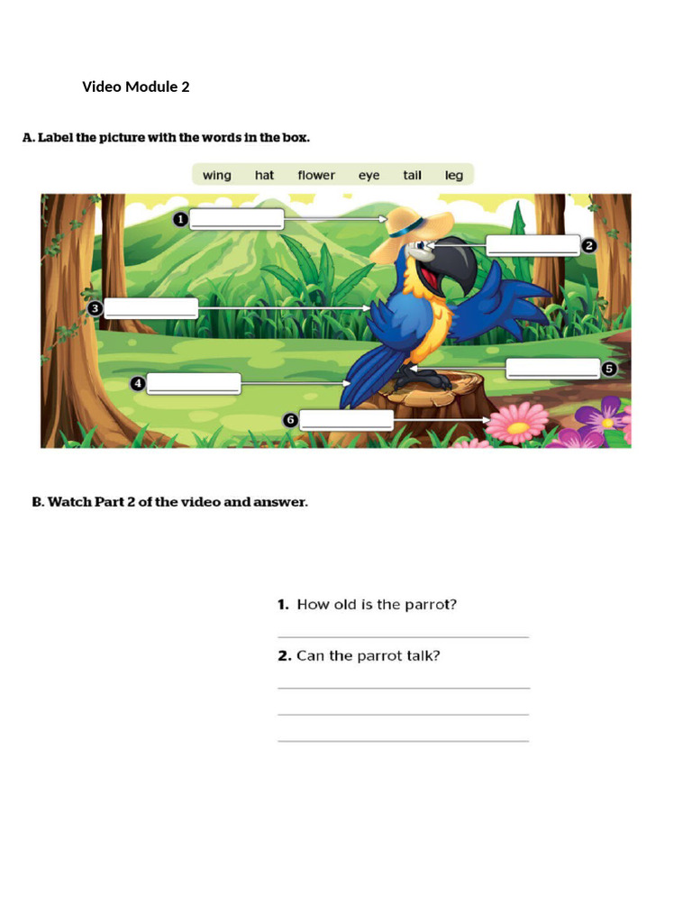 Video Module 2 | PDF