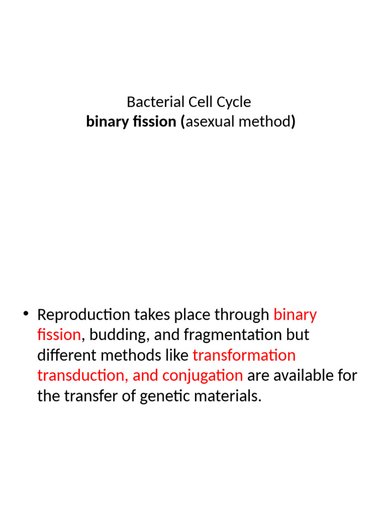 Understanding Bacterial Binary Fission | PDF | Cell (Biology) | Bacteria