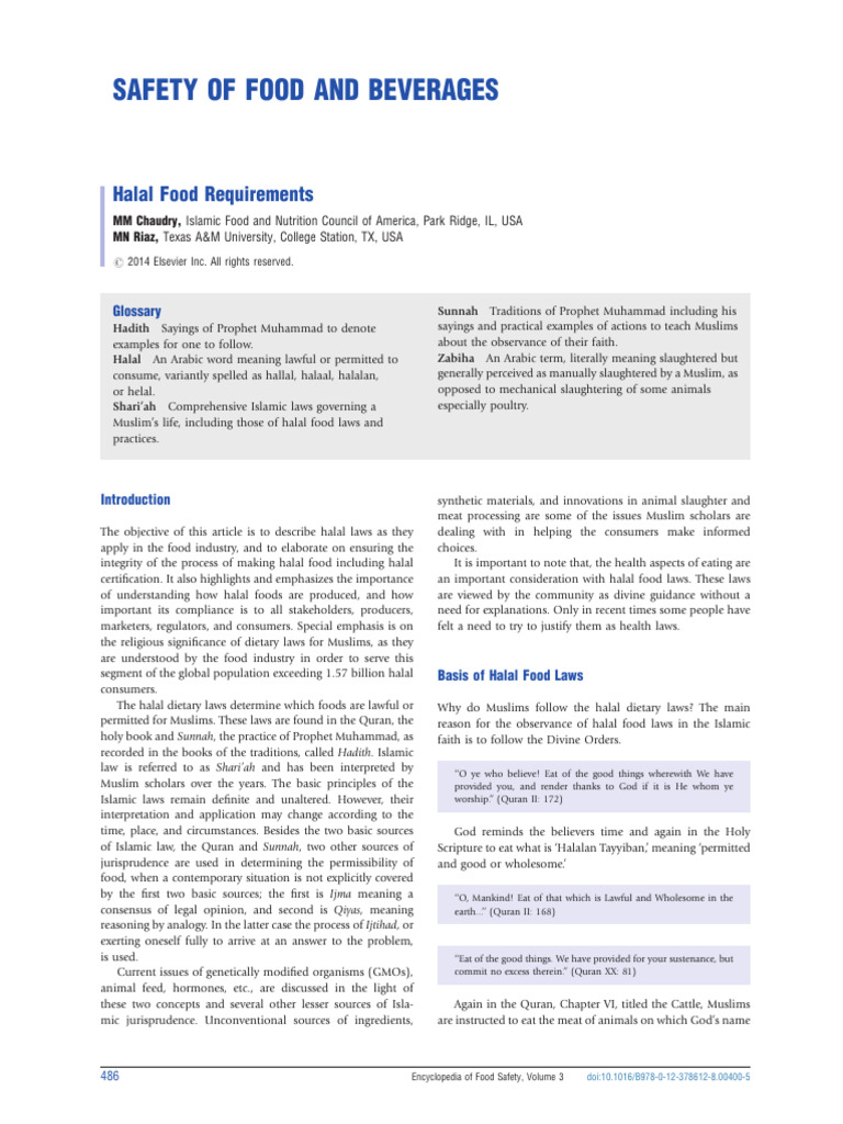 Halal Food Requirements Explained | PDF | Sharia | Alcoholic Beverages