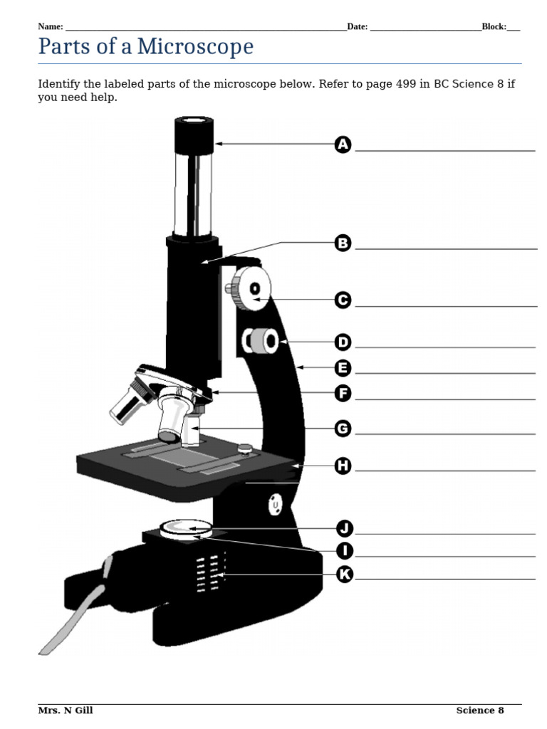 Parts of a Microscope Guide | PDF