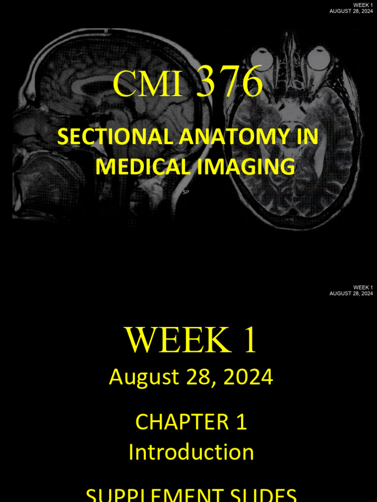 WEEK 1 Chapter 1 - Supplement Slides | PDF | Anatomical Terms Of Location