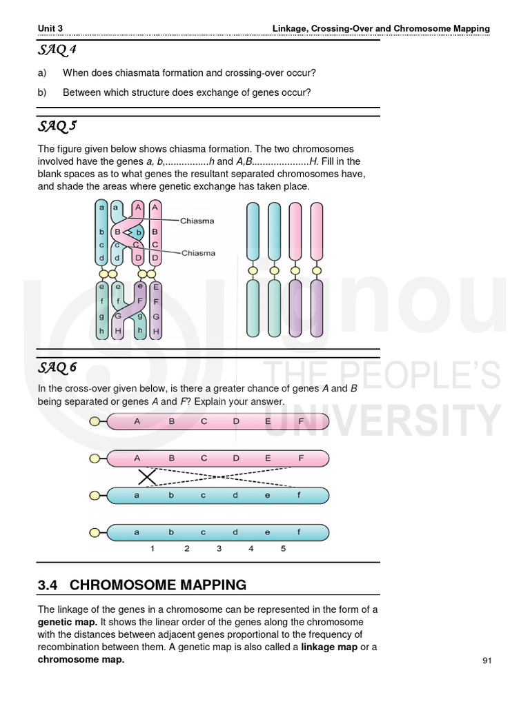 Unit-3, Topic - Chromosome Mapping | PDF | Genetic Linkage | Genetic ...