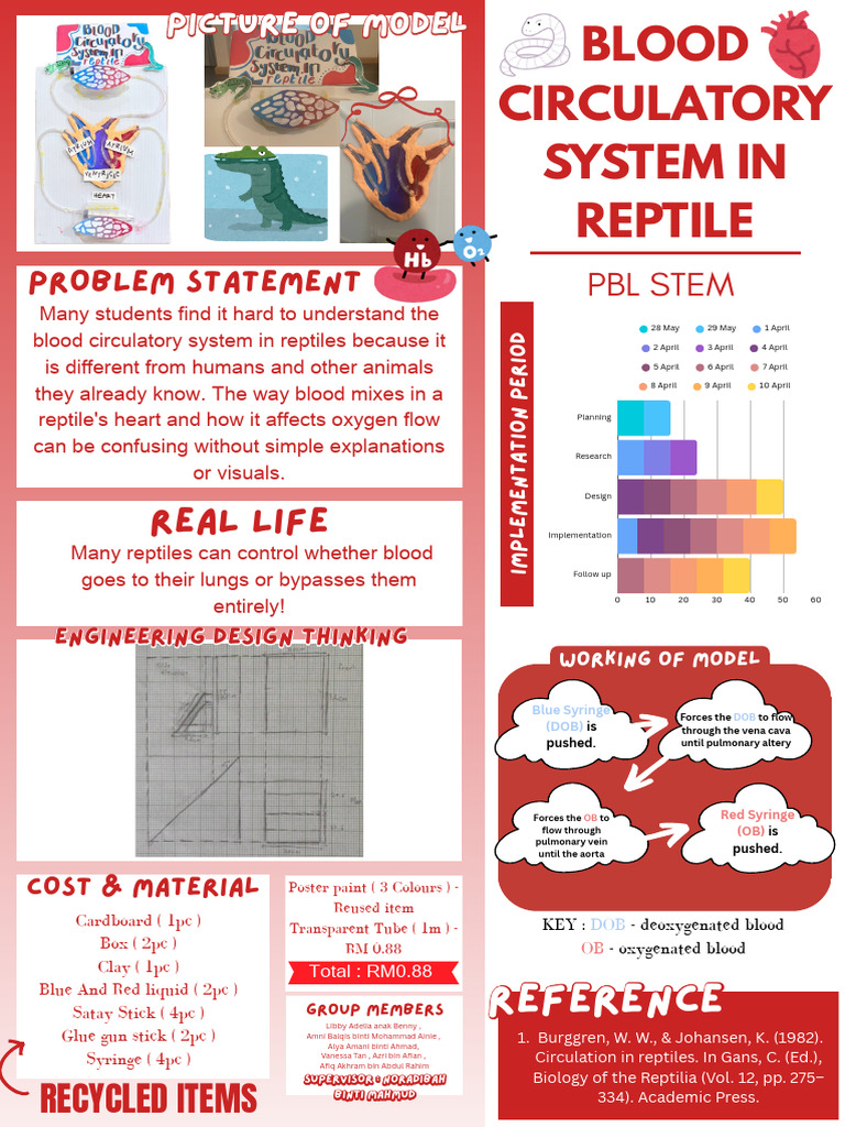 Understanding Reptile Circulatory Systems | PDF | Circulatory System ...
