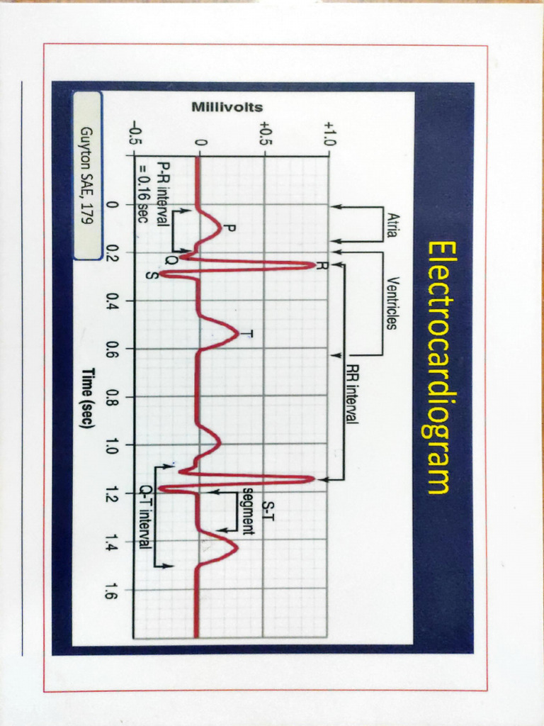 Cvs charts | PDF